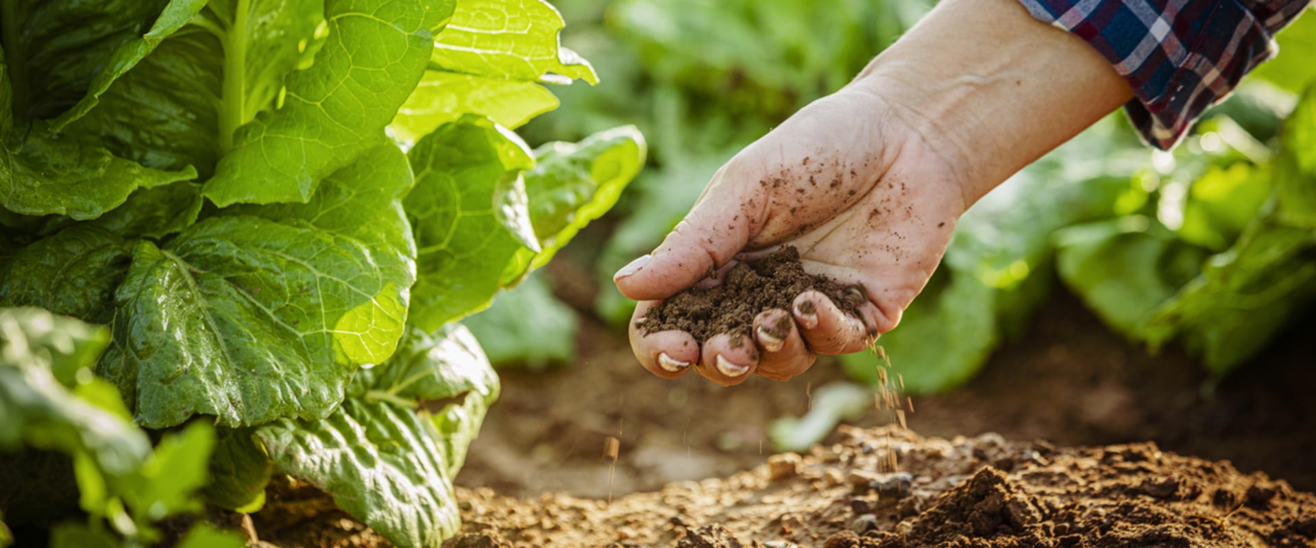 The Many Types of Organic Farming: A Comprehensive Guide to Sustainable ...